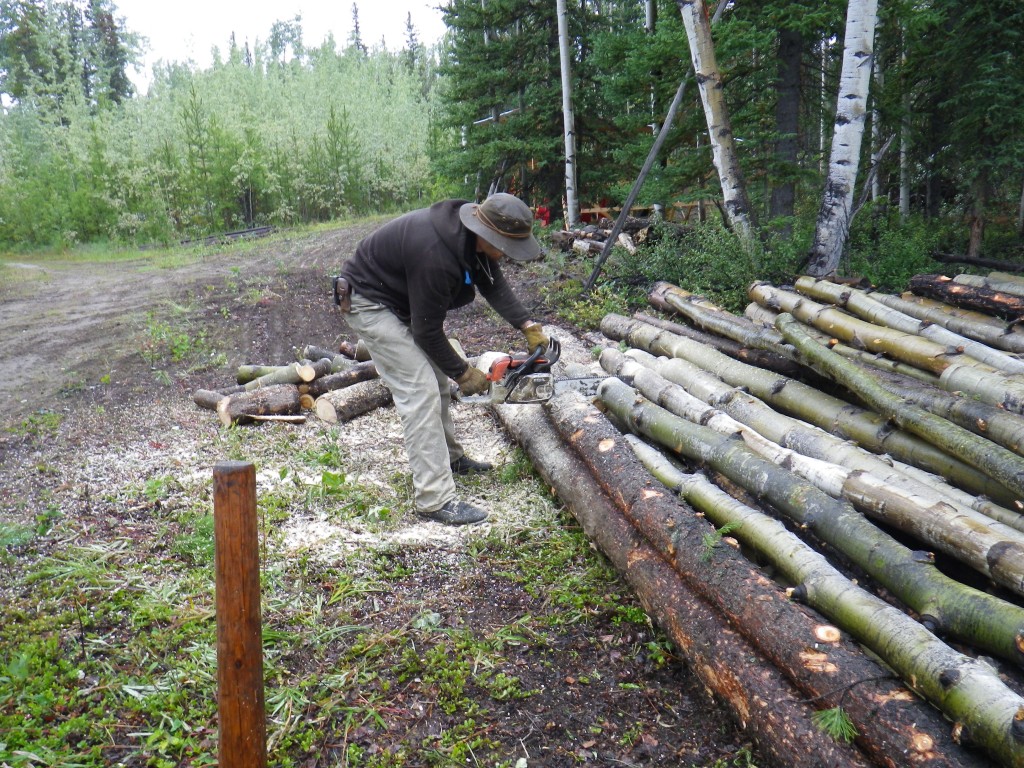 Bucheron à Whitehorse | Lucie & Vincent au Canada