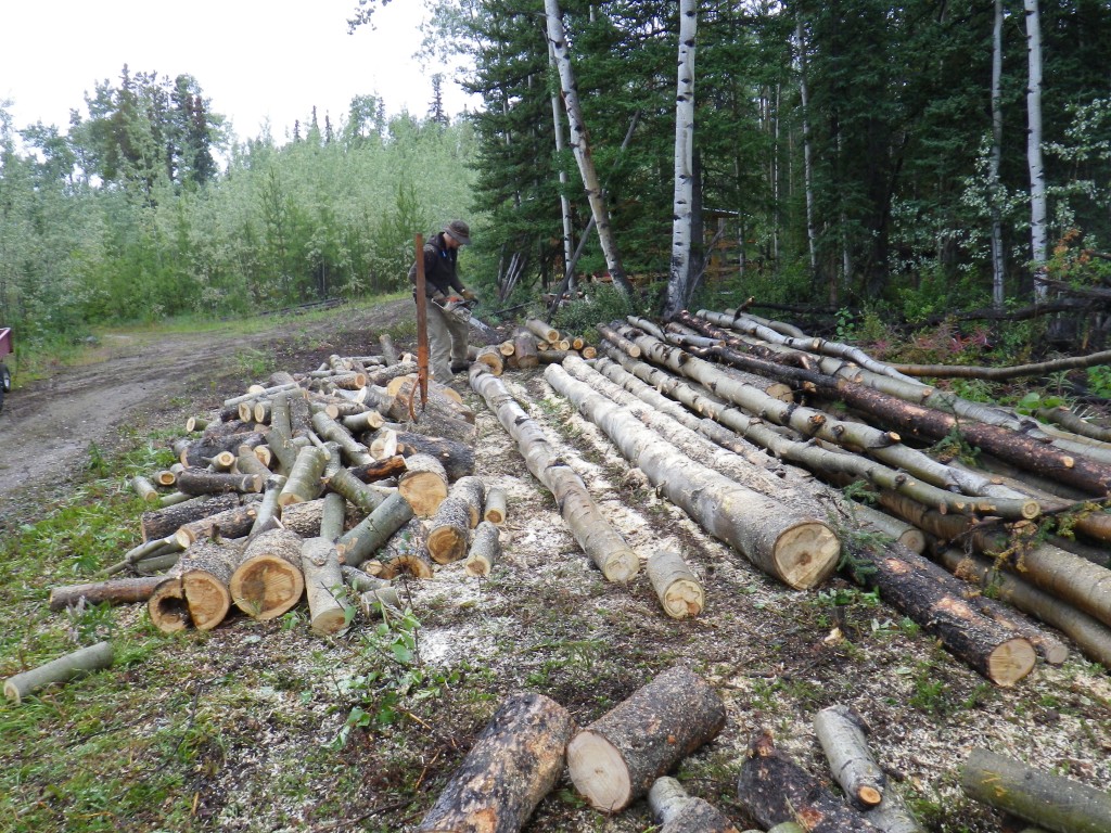 Bucheron à Whitehorse | Lucie & Vincent au Canada